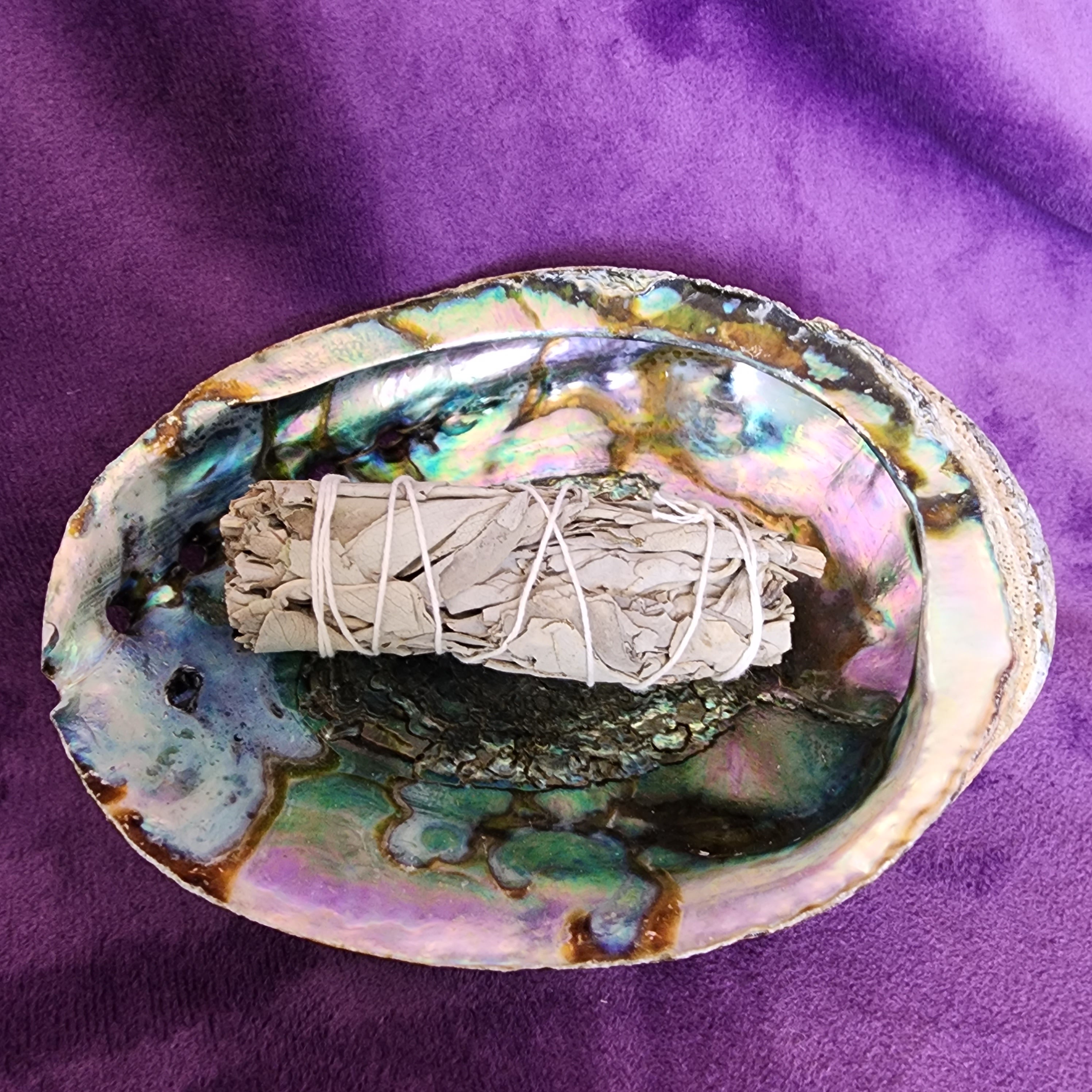 Abalone Shell Traditional Large Smudge Set | The Practical Mystic Shop